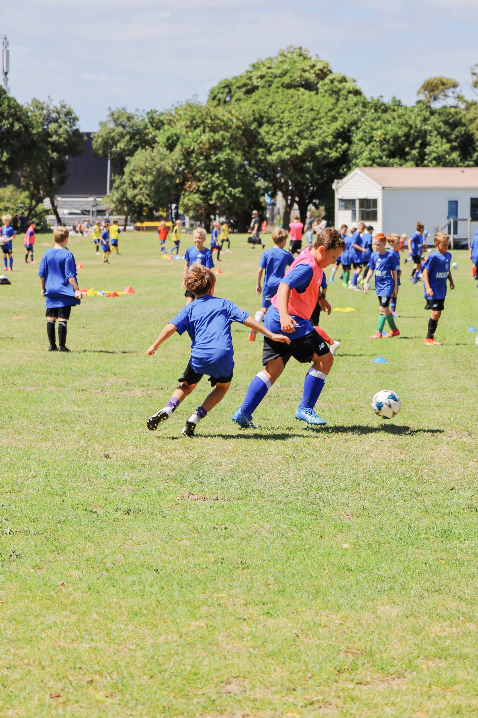 Auckland FC Football School